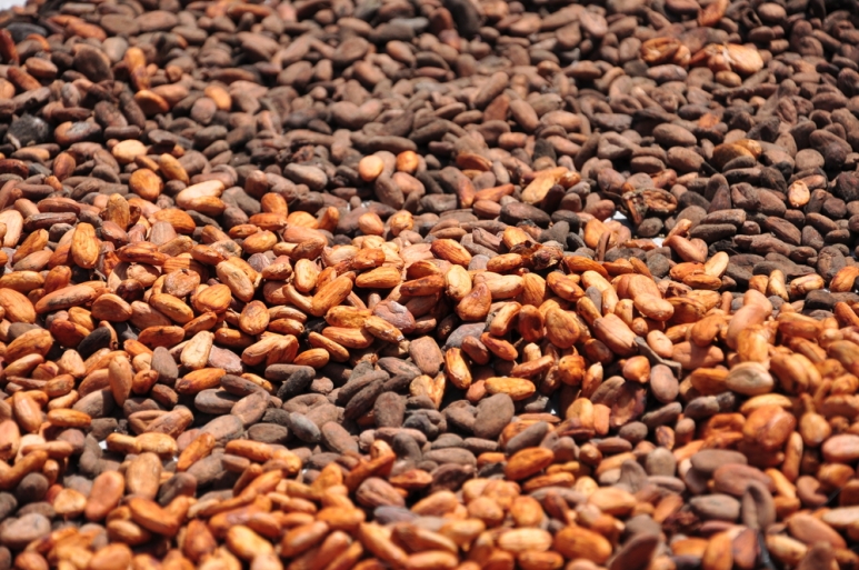 5 Indonesian Chocolates To Rival The Best In The World | Tatler Asia