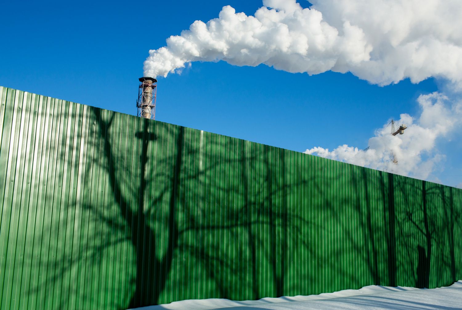 ESG Investing: On Becoming A Lean, Green Money Machine | Tatler Asia