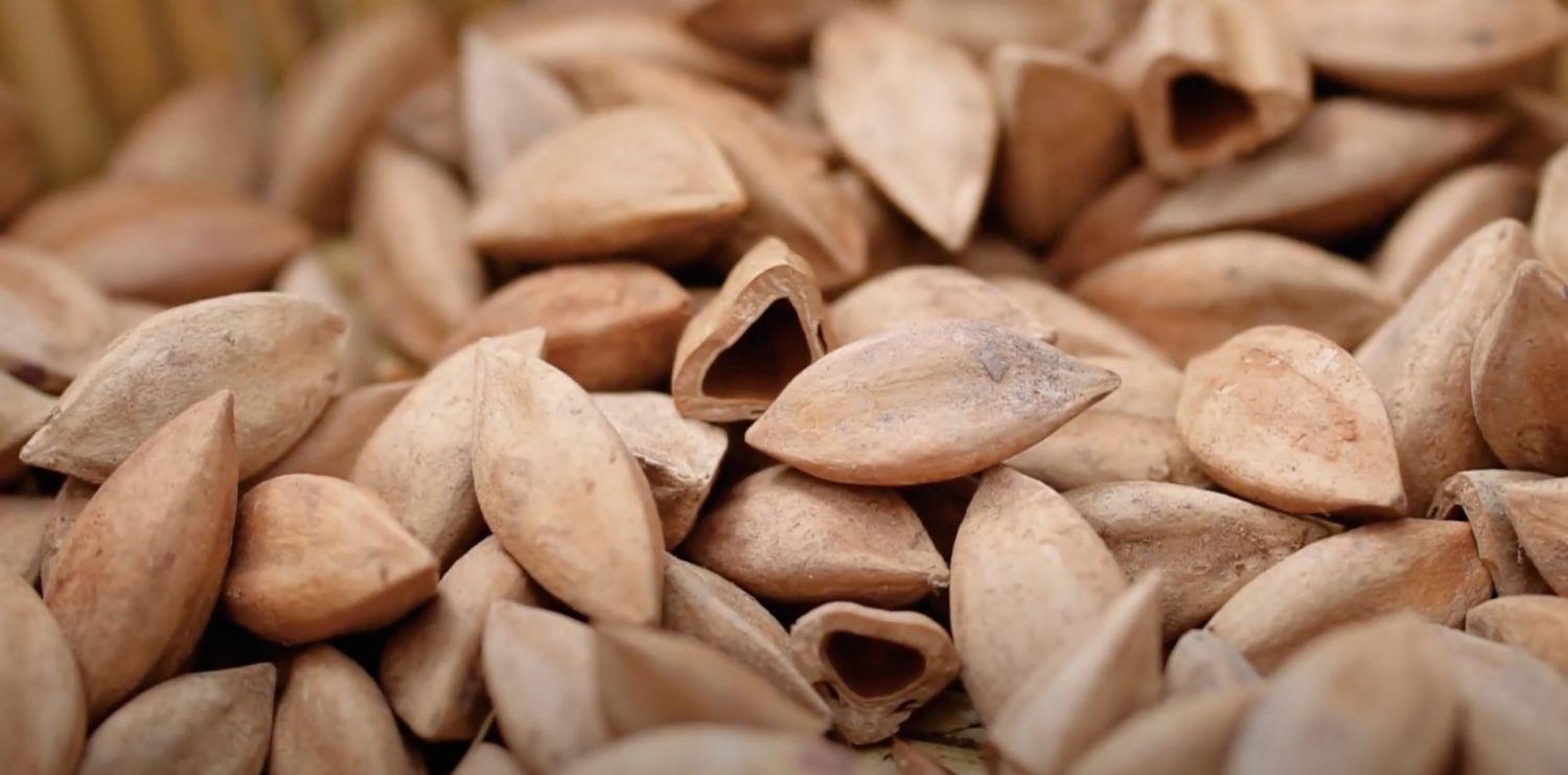 Best Food in Bicol: Louise Mabulo’s Guide to Camarines Sur | Tatler Asia