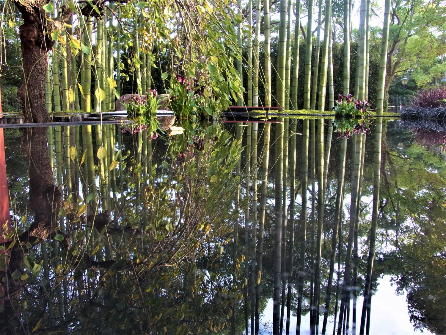 Tatler Homes Interviews Award-Winning Landscape Architect Inch Lim ...