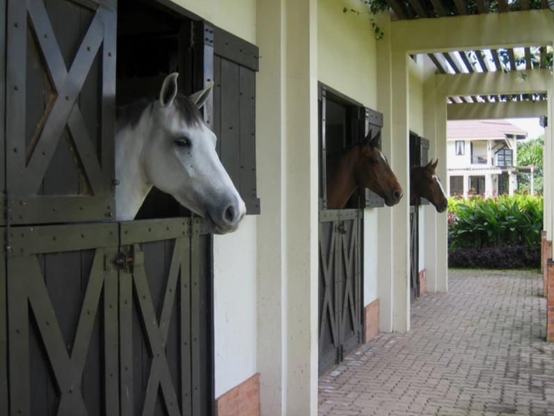 5 Horseback Riding: Manila Polo Club, Rancho Mati, and More | Tatler Asia