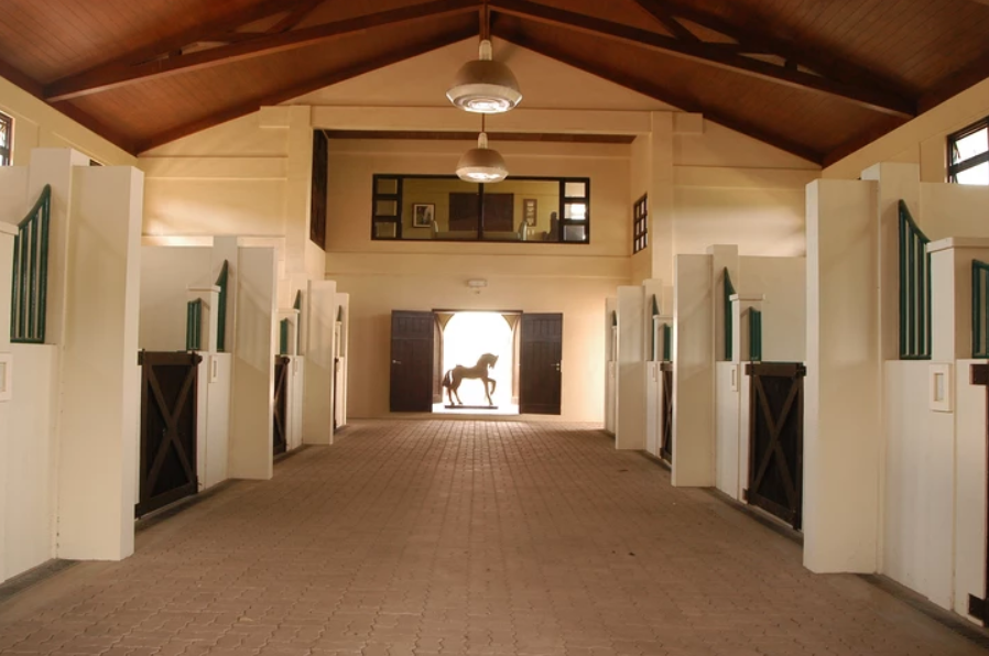 5 Horseback Riding: Manila Polo Club, Rancho Mati, and More | Tatler Asia