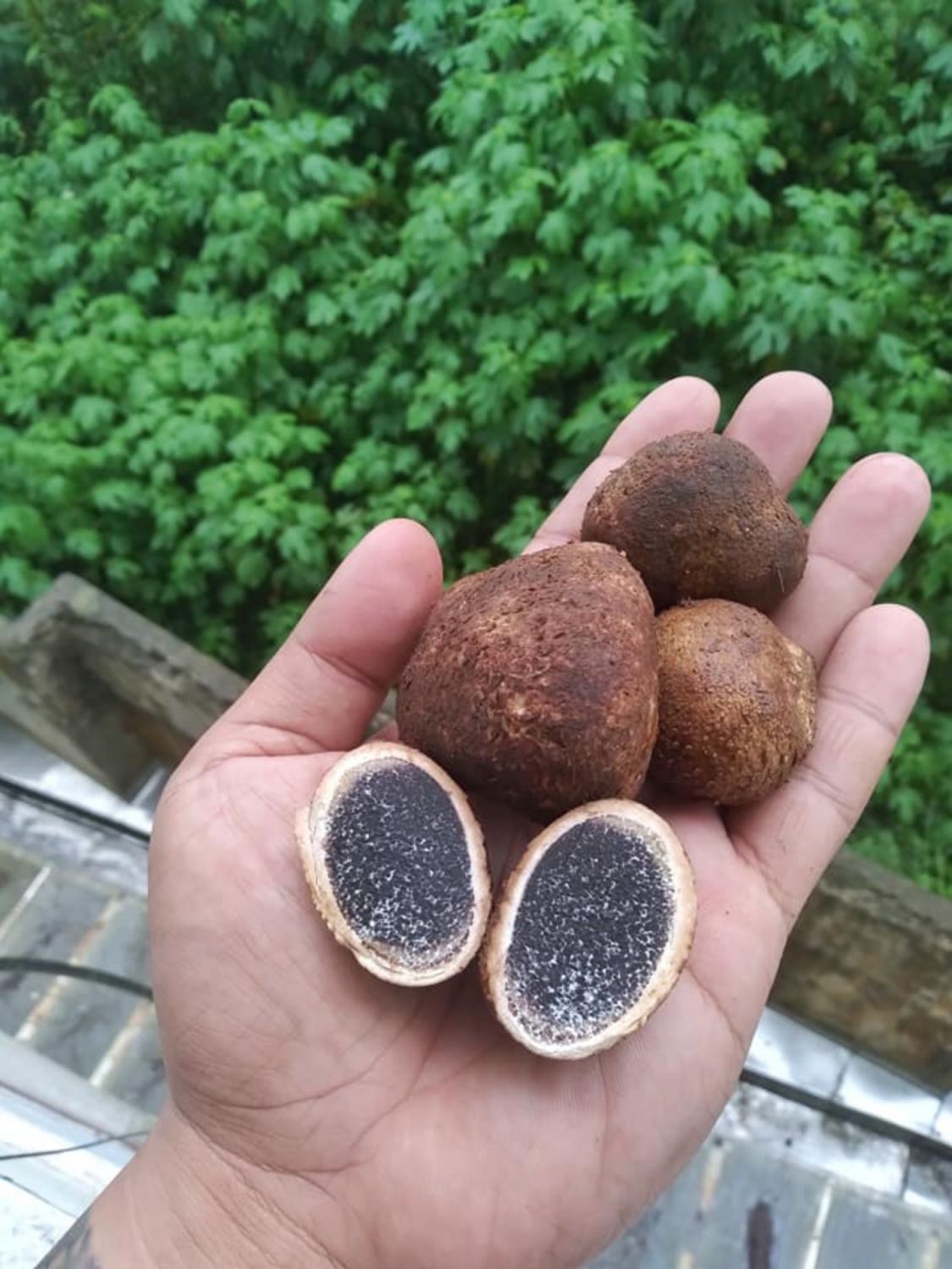 6 Decadent Filipino Ingredients You Should Know | Tatler Asia