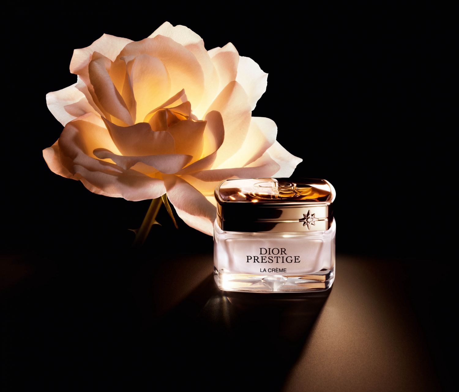 The Best New Beauty Launches of September 2022: Dior Beauty's Face ...