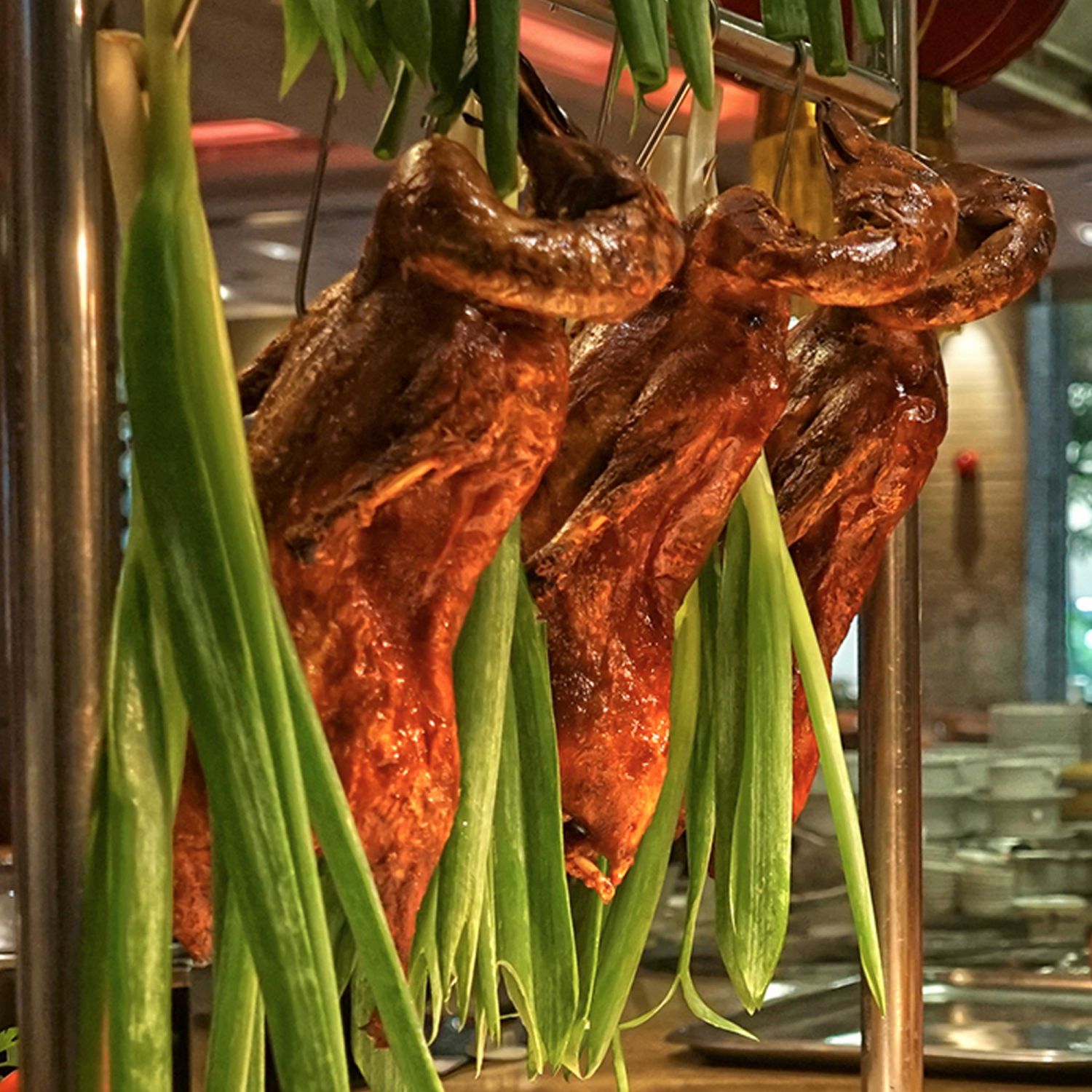 Classic Comforts at Café Ilang-Ilang: Indulge in Lobsters, Crabs ...