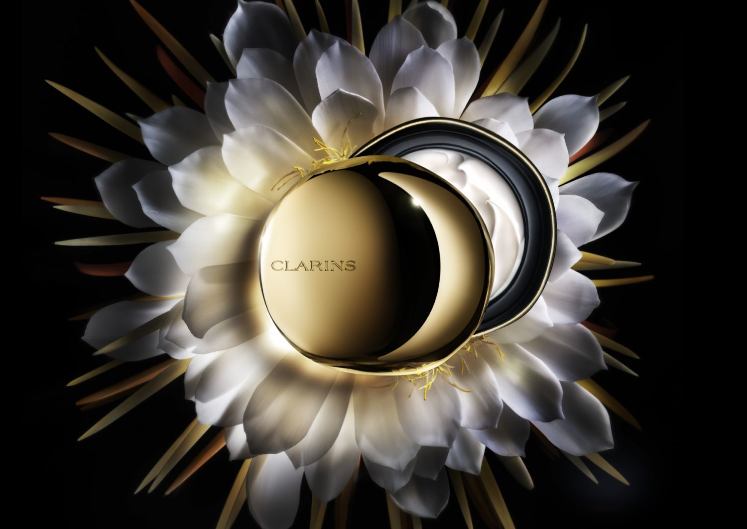 A Precious Discovery Gives Way to Clarins’s Newest Skincare Collection ...