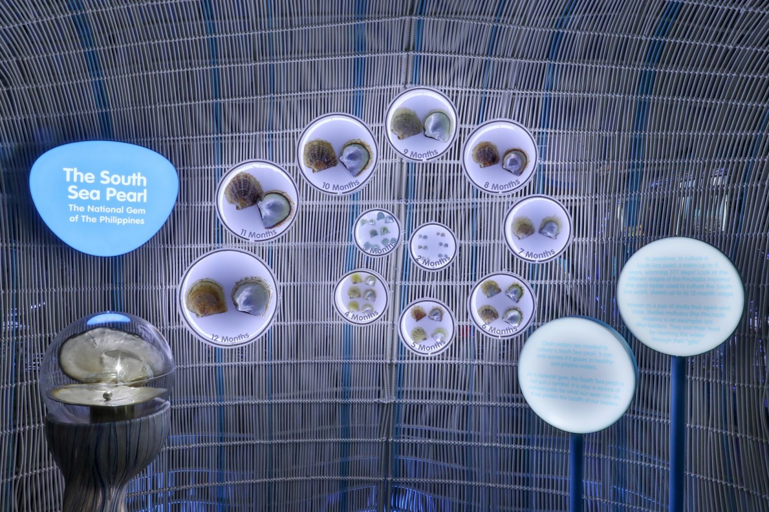 Jewelmer Unveils Pearl of the Orient Exhibit at the Mind Museum ...