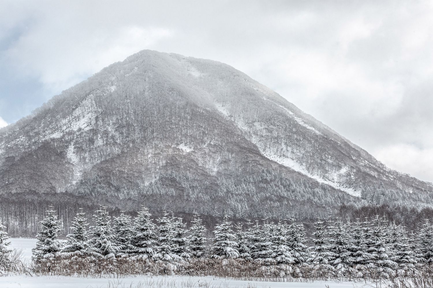 The best places in Asia for a white Christmas | Tatler Asia