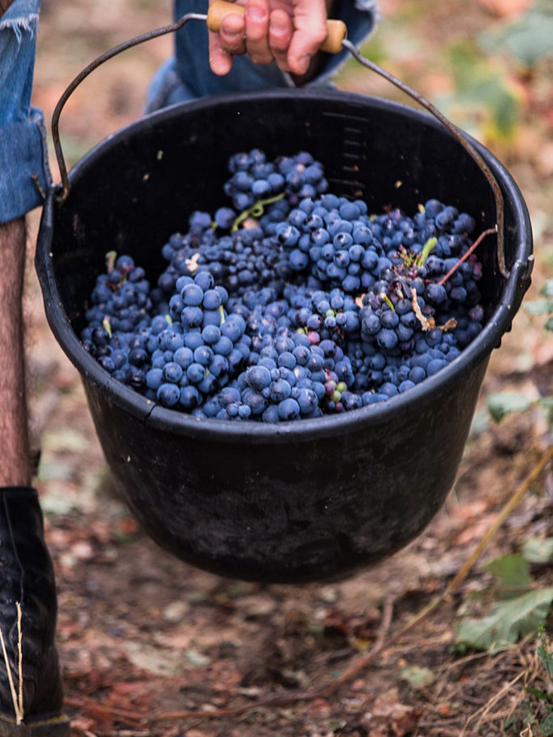 There’s A Champagne Out There For Everyone—Find Out Yours | Tatler Asia