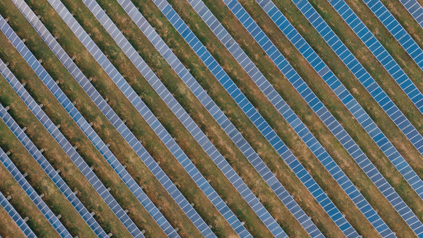 BayWa r.e. Solar Trade partners with New Energy Academy to accelerate ...