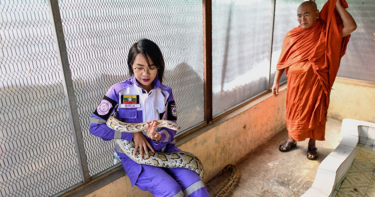 Meet Shwe Lei, the ‘Snake Princess’ behind Myanmar’s premier snake ...