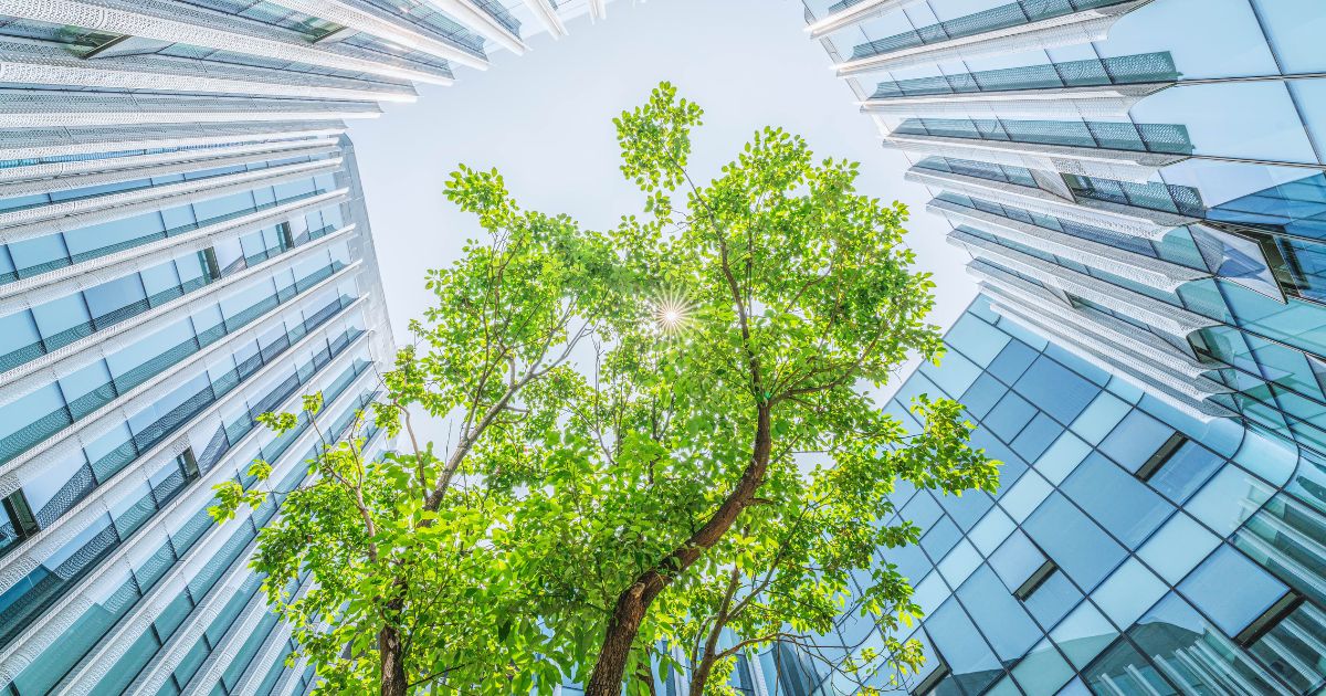 What is the built environment, what are its sustainability challenges ...