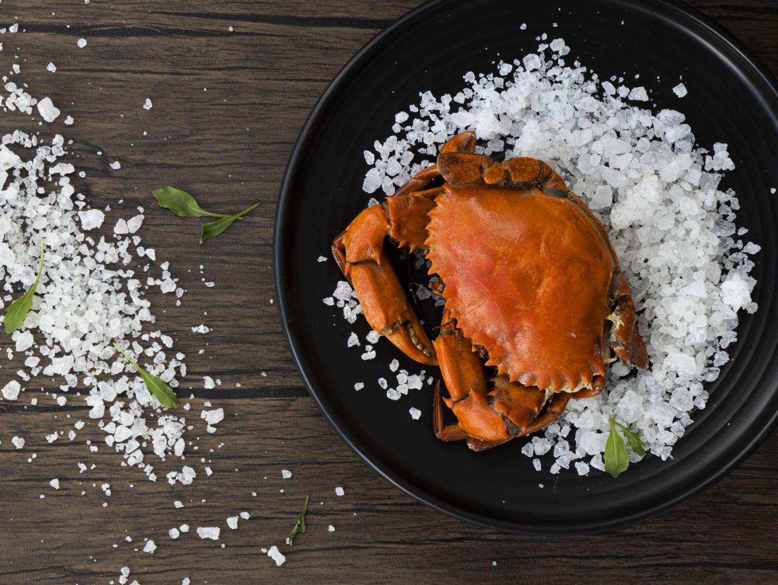 Dive into the ultimate seafood feast with Nuva's crab extravaganza ...