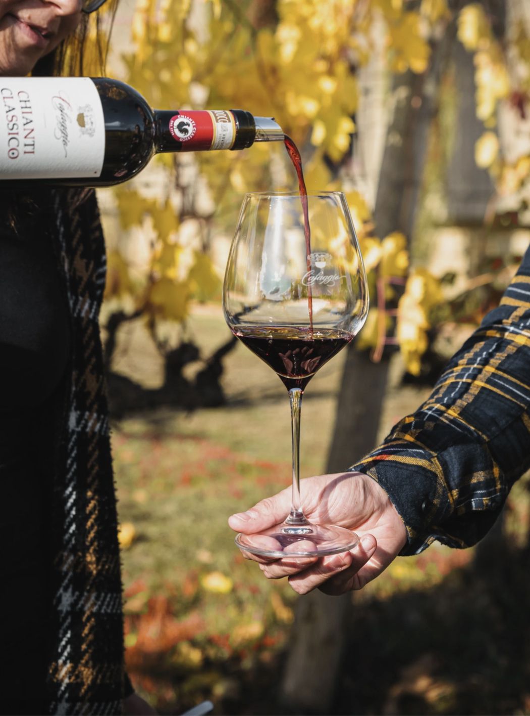 The final instalment of Aria's Wine Club Series takes diners to Tuscany ...