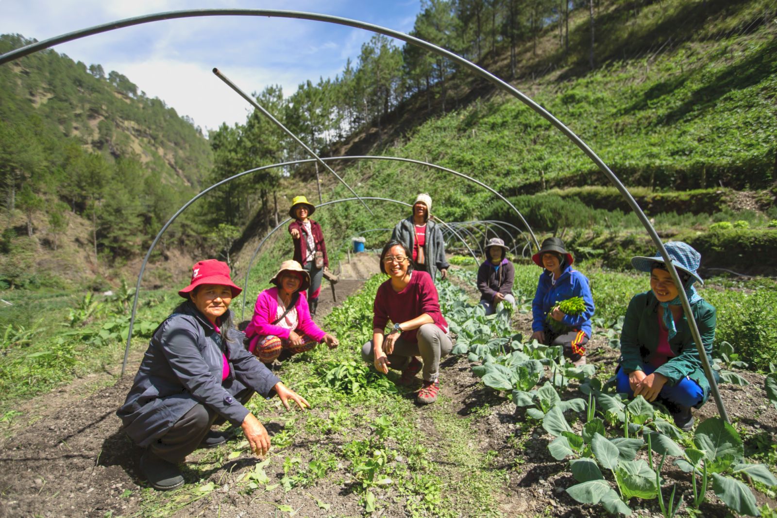 From seed to plate: Sub-Zero and Wolf collab with Good Food Community ...