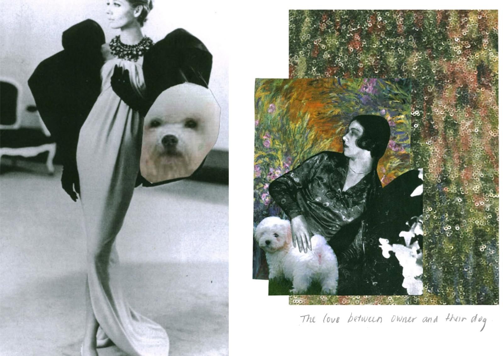 Hong Kong designer Celine Kwan on how dogs have inspired her upcoming ...