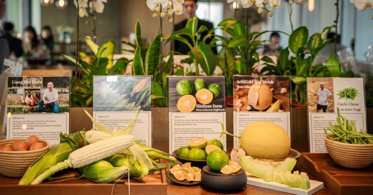 Secai Marche connects passionate producers with talented chefs at ...