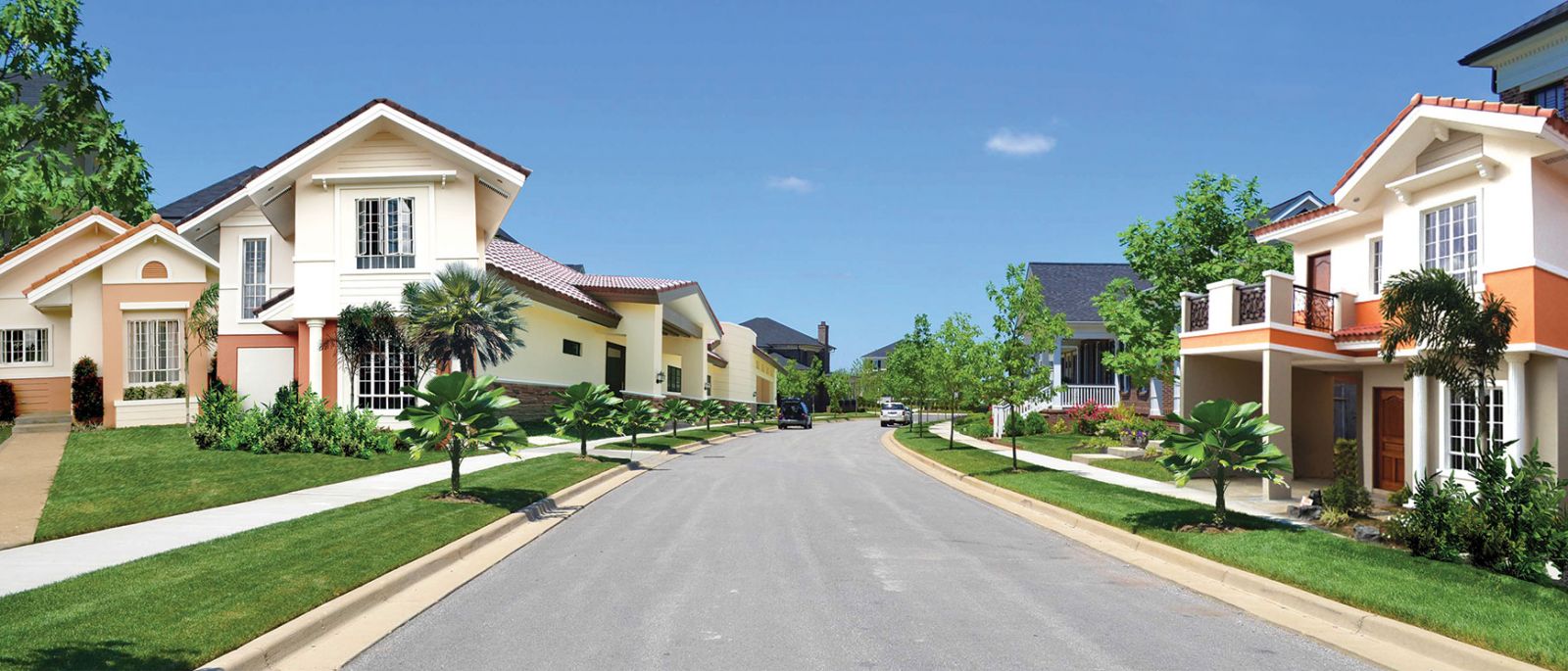 Cocogen Insurance and Sta Lucia Realty announce exclusive partnership ...