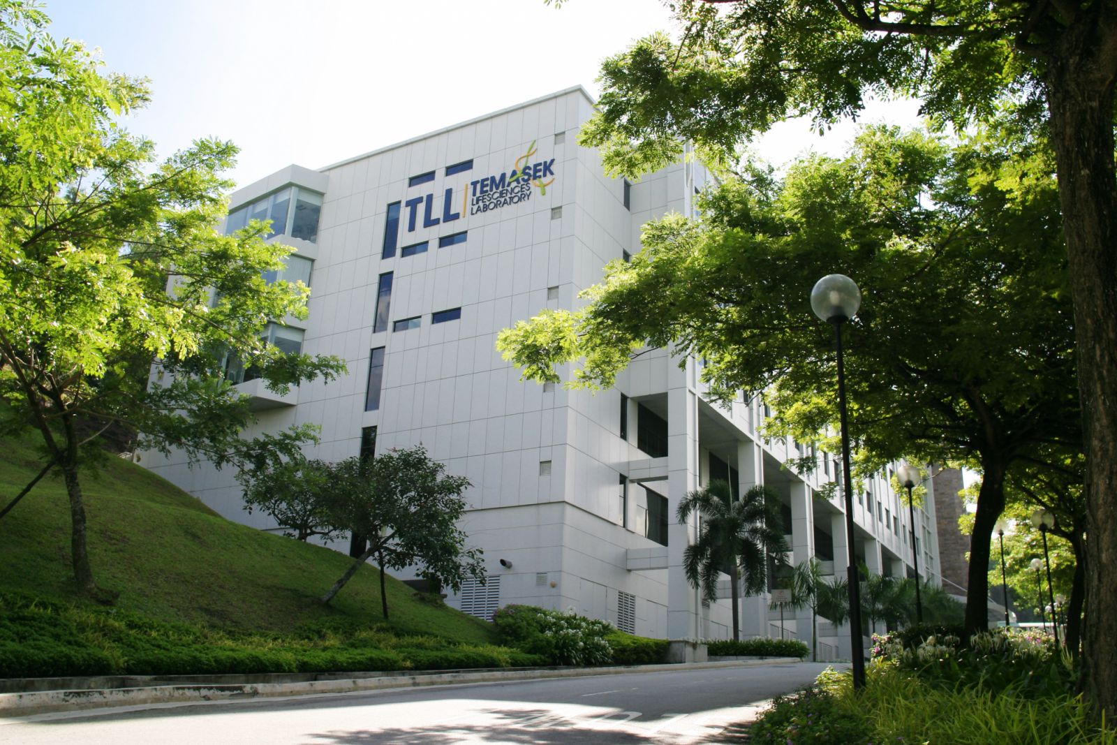 How Philanthropy Asia Alliance is facilitating multi-sector ...