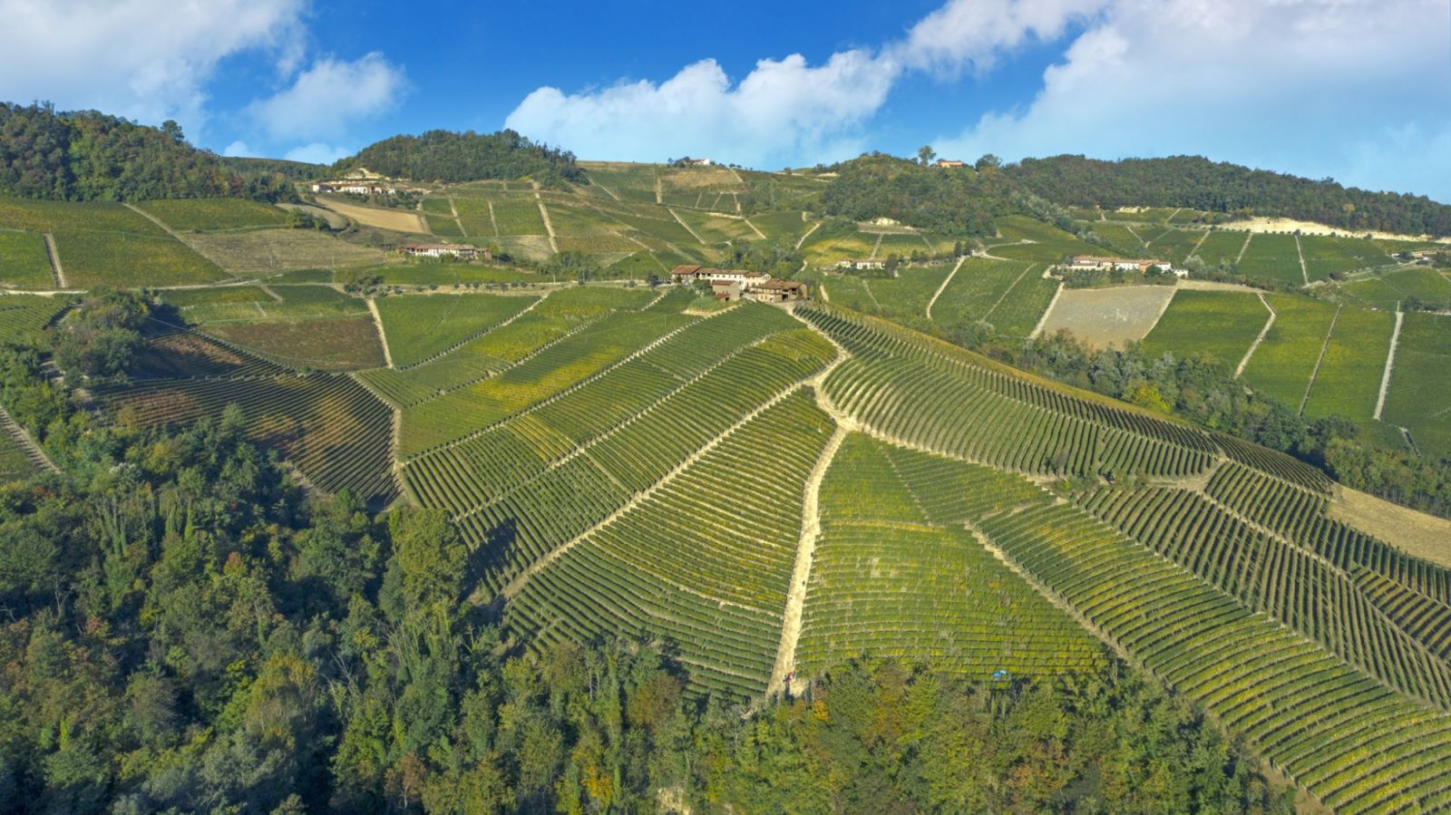 Federica Boffa on the future of the illustrious Pio Cesare winery ...