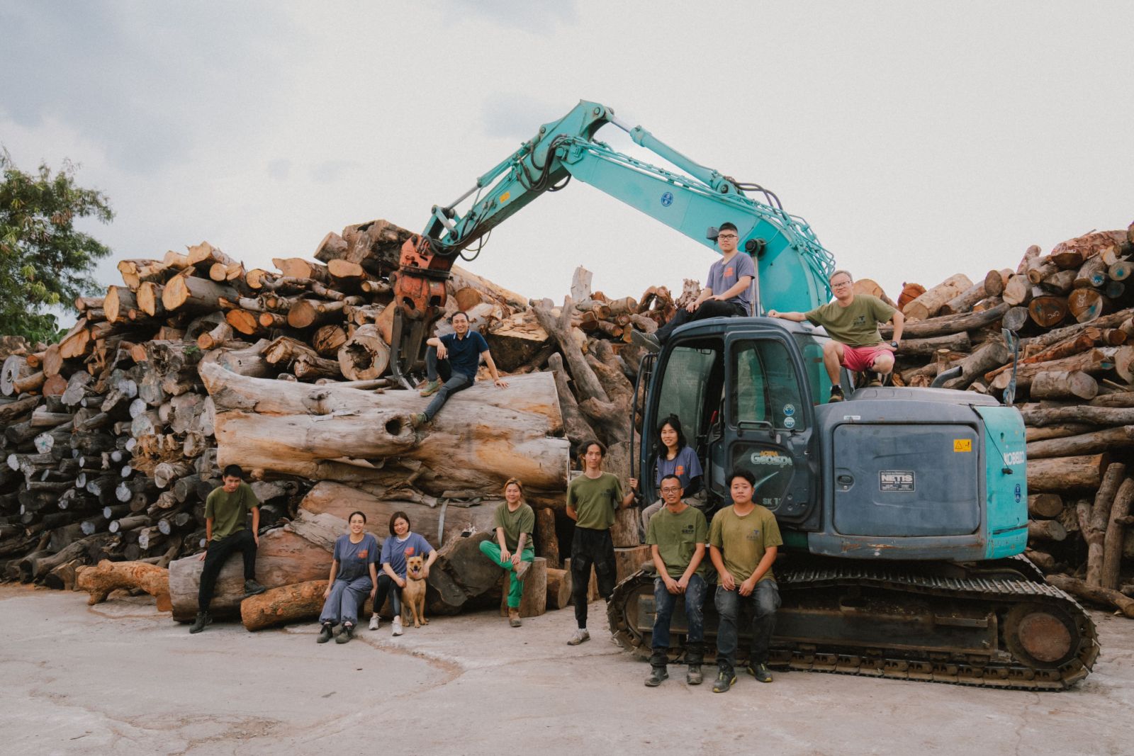 How Ricci Wong of Timberbank is giving new life to felled trees by ...