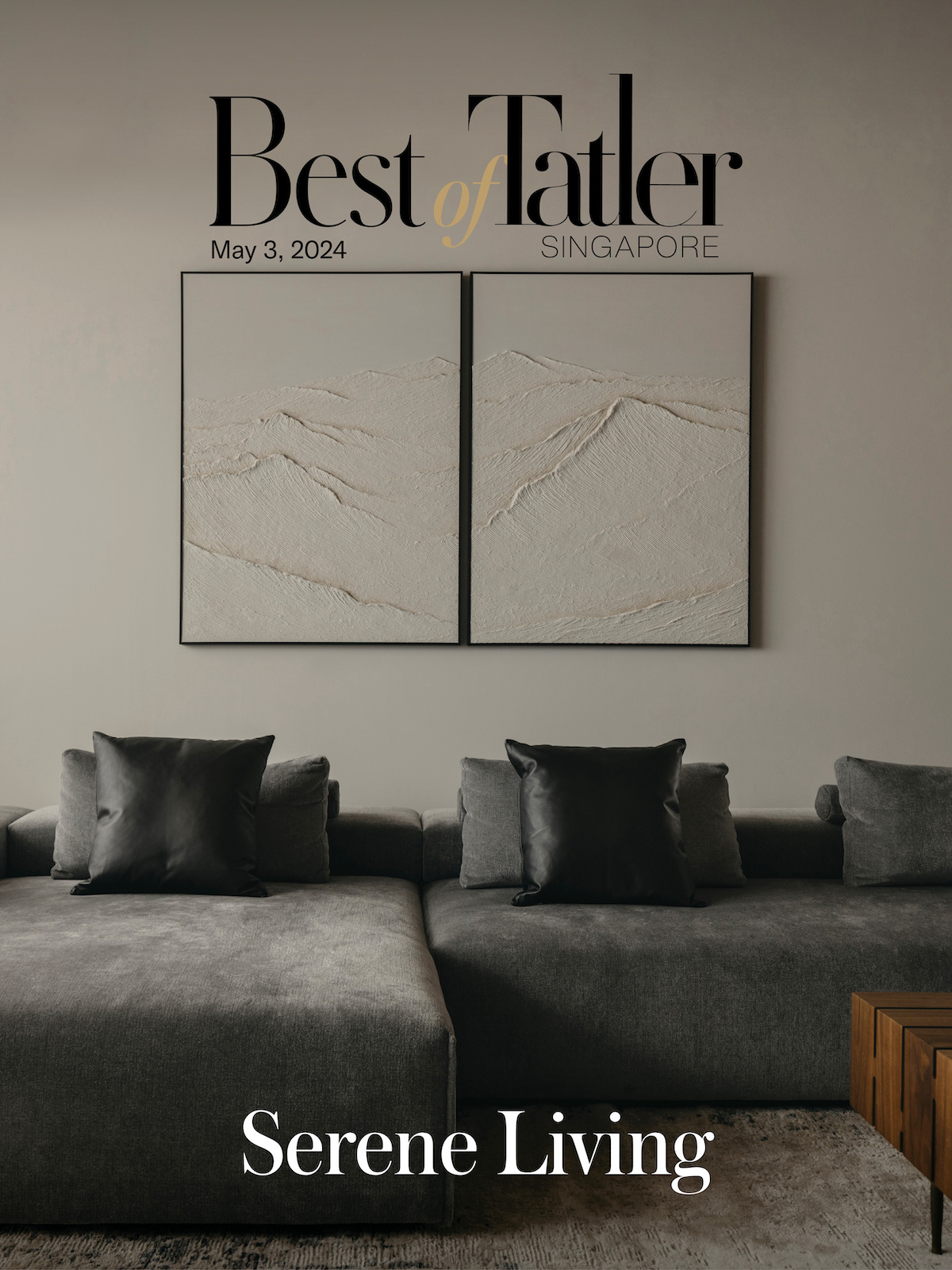 Best of Tatler Singapore: Transforming a Singapore apartment from the ...