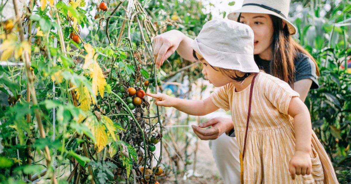 5 organic farms in Hong Kong to visit | Tatler Asia
