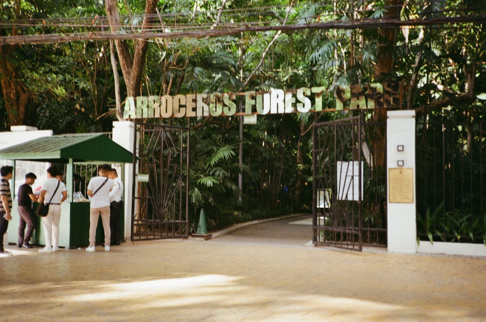 The birds and plants you can find in Arroceros Forest Park | Tatler Asia