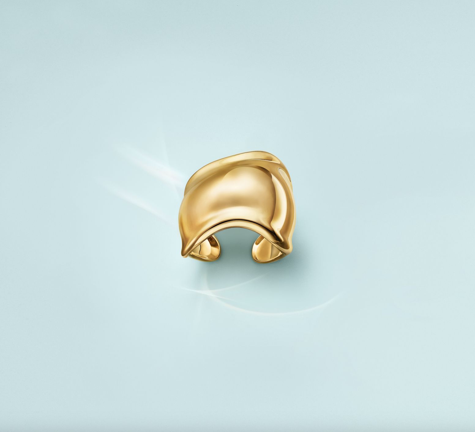 Tiffany & Co debuts new Bone and Split Rings | Tatler Asia