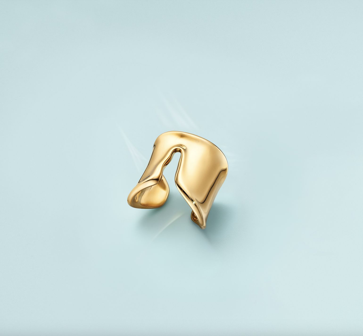 Tiffany & Co debuts new Bone and Split Rings | Tatler Asia