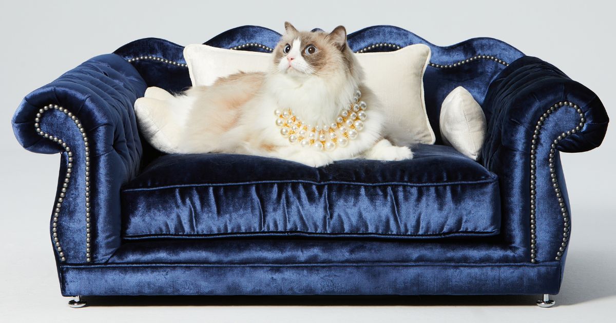 5 luxury brands in Hong Kong that offer pet accessories, from Hermès to ...
