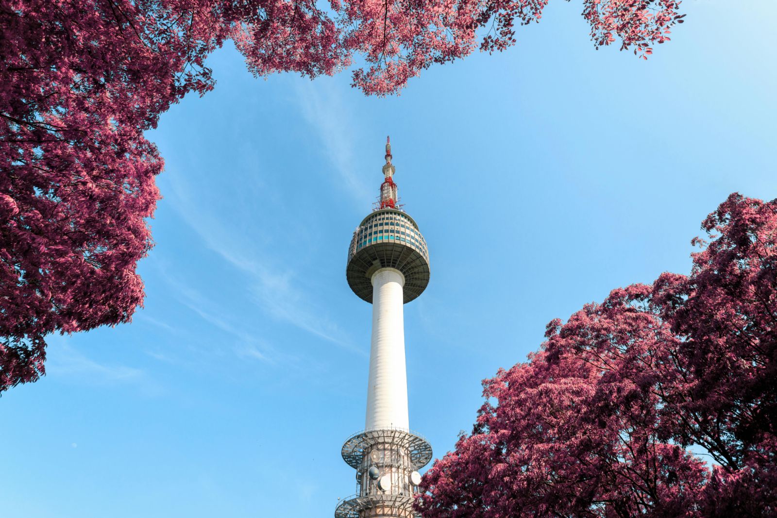 5 iconic buildings in pop culture: N Seoul Tower, Brooklyn Bridge and ...