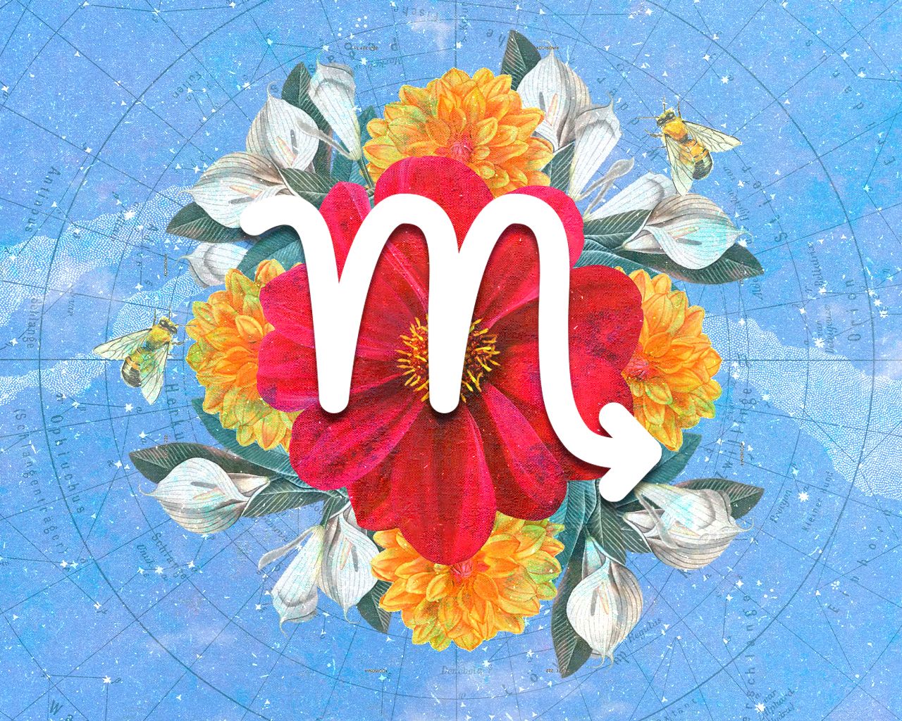 What zodiac is november 10th 60 photos - Youhoroscope.com