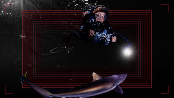 Legendary oceanographer Dr Sylvia Earle discusses the ocean as a vital ...