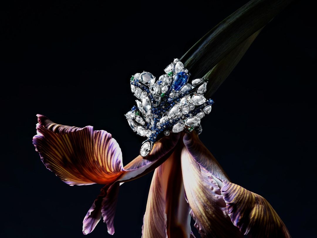 Cindy Chao introduces the new White Label Collection for wearable works ...