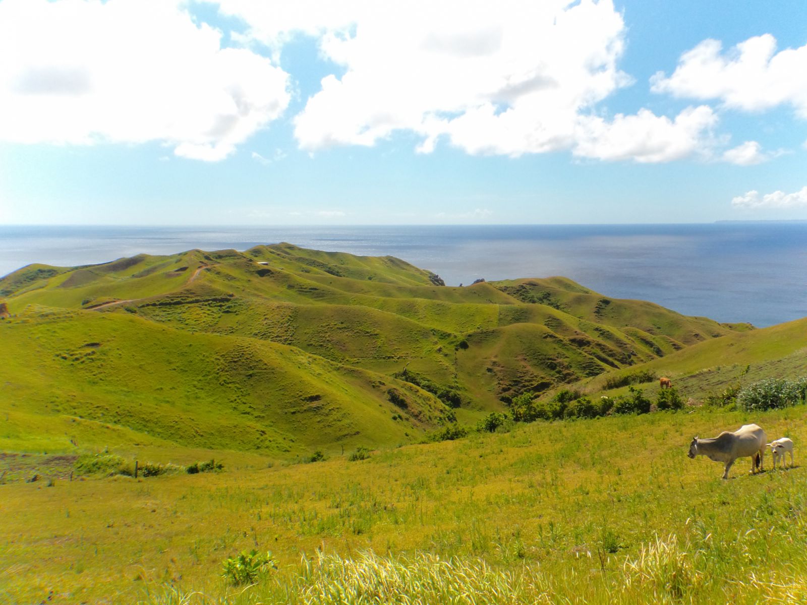 The Cultural Wanderer’s Guide to Batanes | Tatler Asia