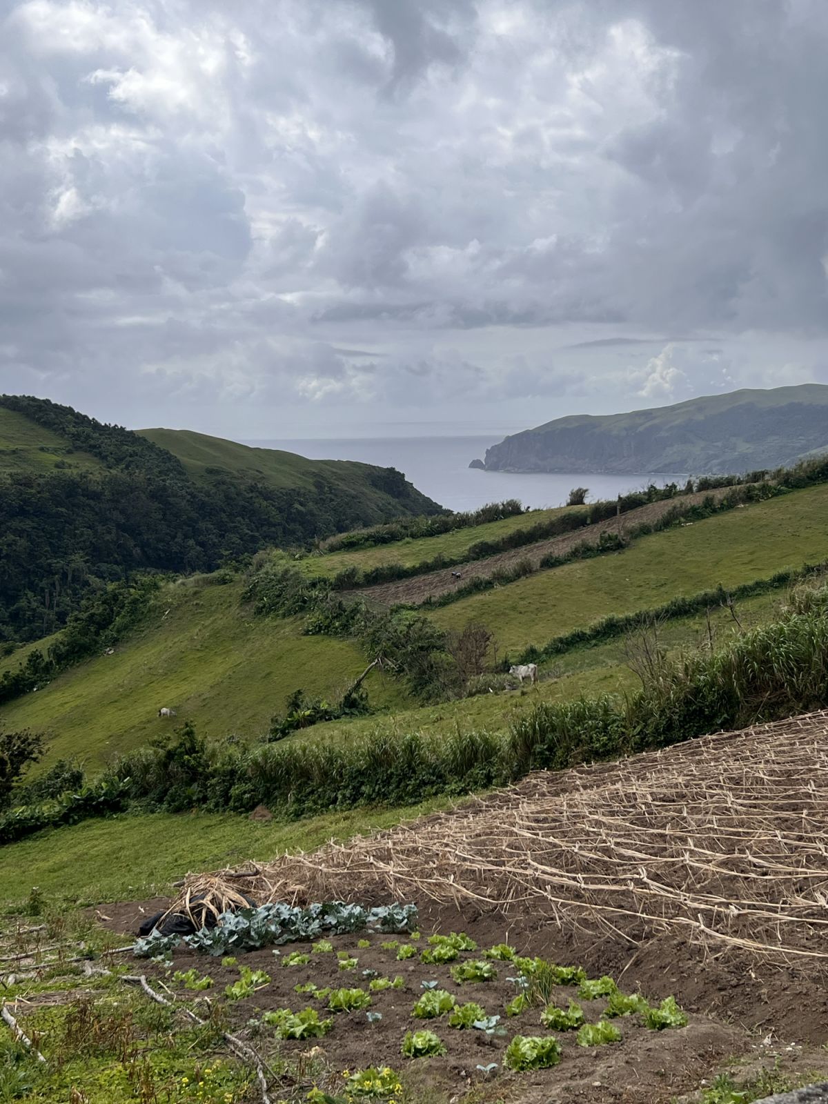 The Cultural Wanderer’s Guide to Batanes | Tatler Asia