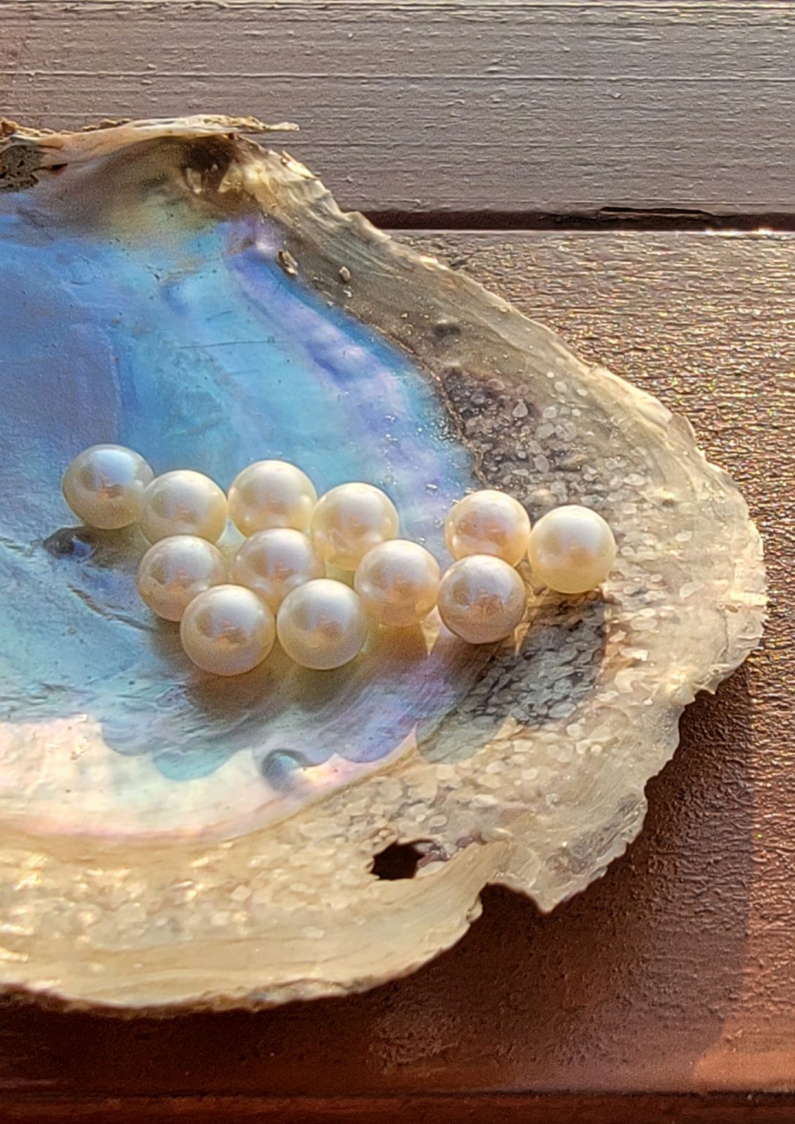 Experts explain: How choosing pearls can help heal the ocean and ...