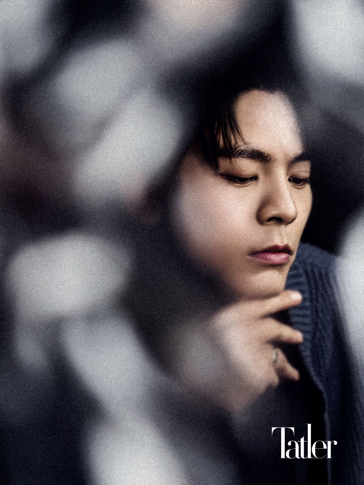 Taiwanese actor Austin Lin on his upcoming movie about dogs and playing ...