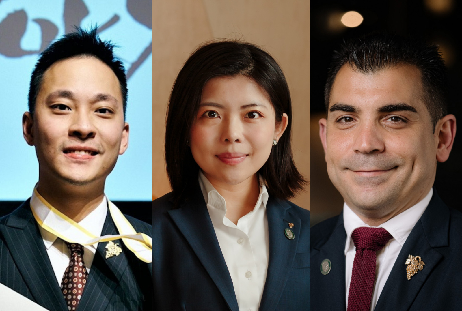 7 best burgundy red wine alternatives, according to Singapore’s top ...