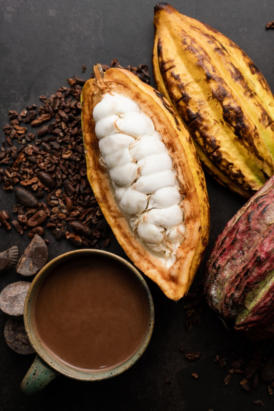 Criollo cacao: why do chocolatiers around the world want this ...