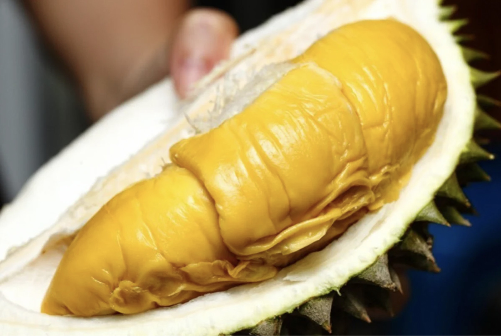 A breakdown of the most popular durian varieties | Tatler Asia