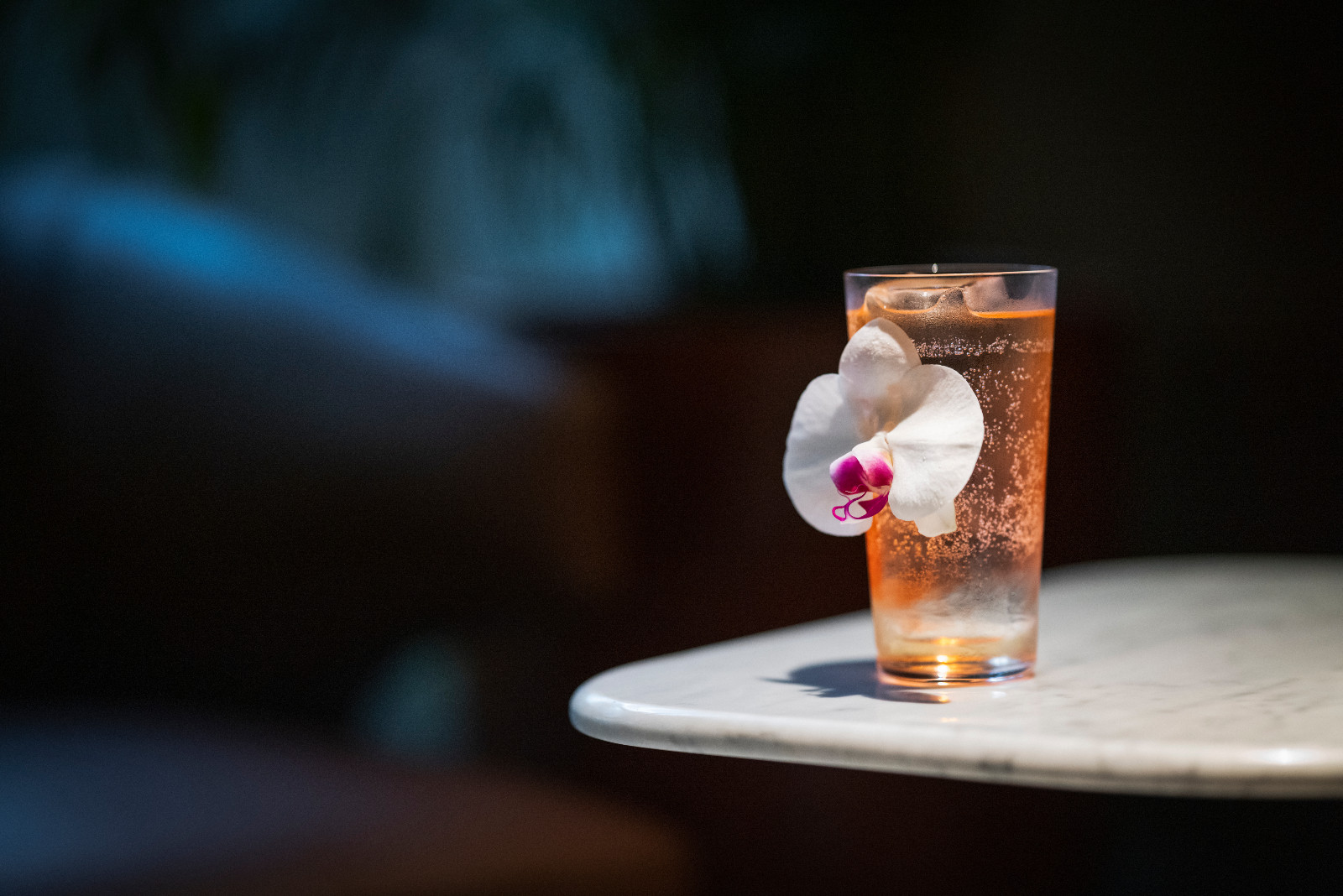 Bar Kotak | Tatler Asia