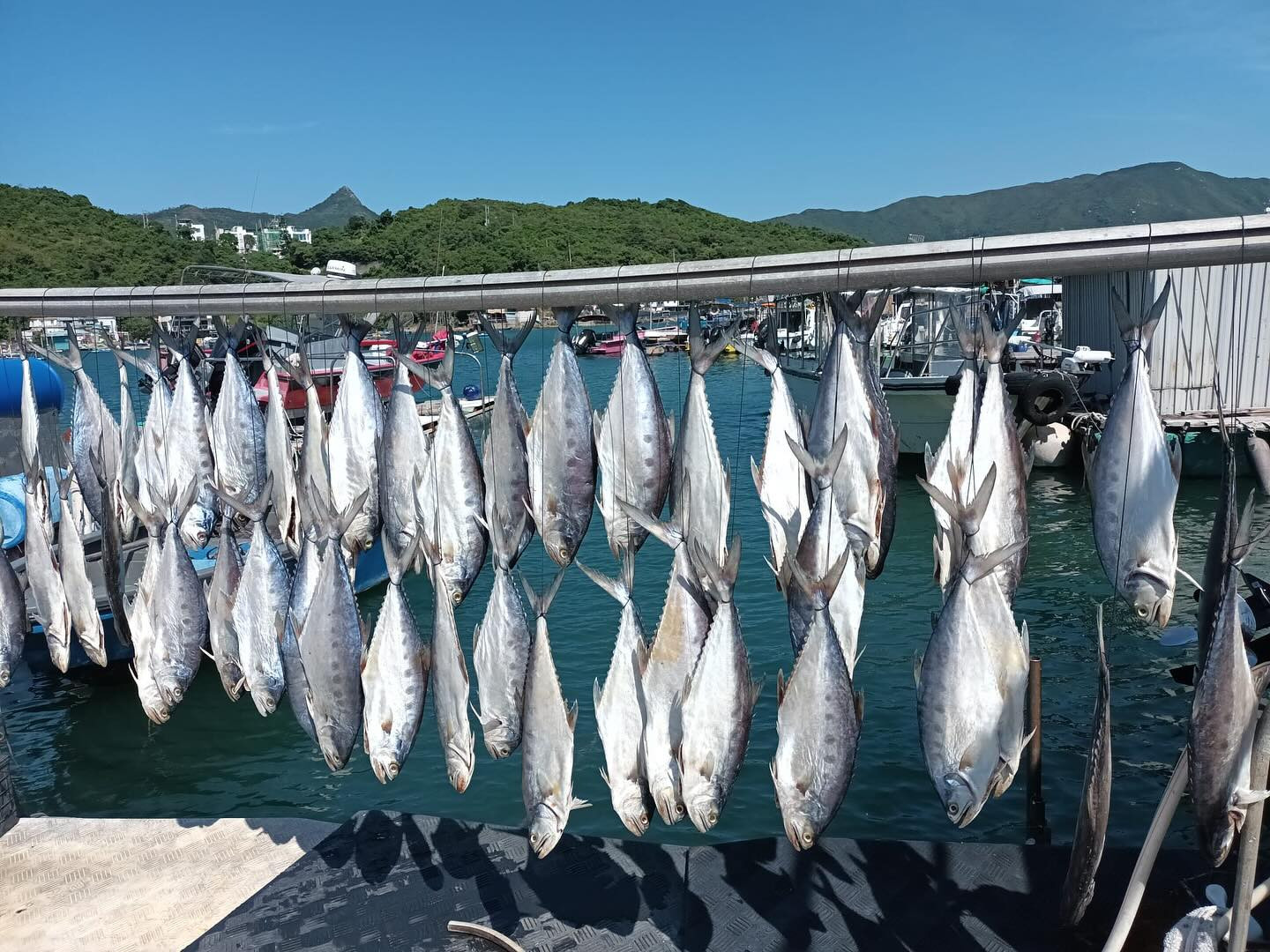 Preserving Hong Kong’s Tanka cuisine at Kam Tung Kitchen | Tatler Asia
