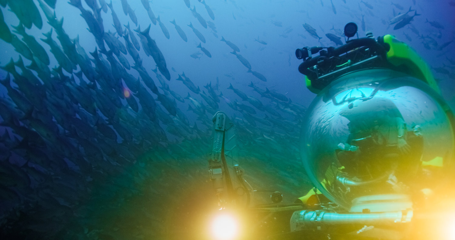 Ray and Mark Dalio: how OceanX is on a mission to save the oceans ...