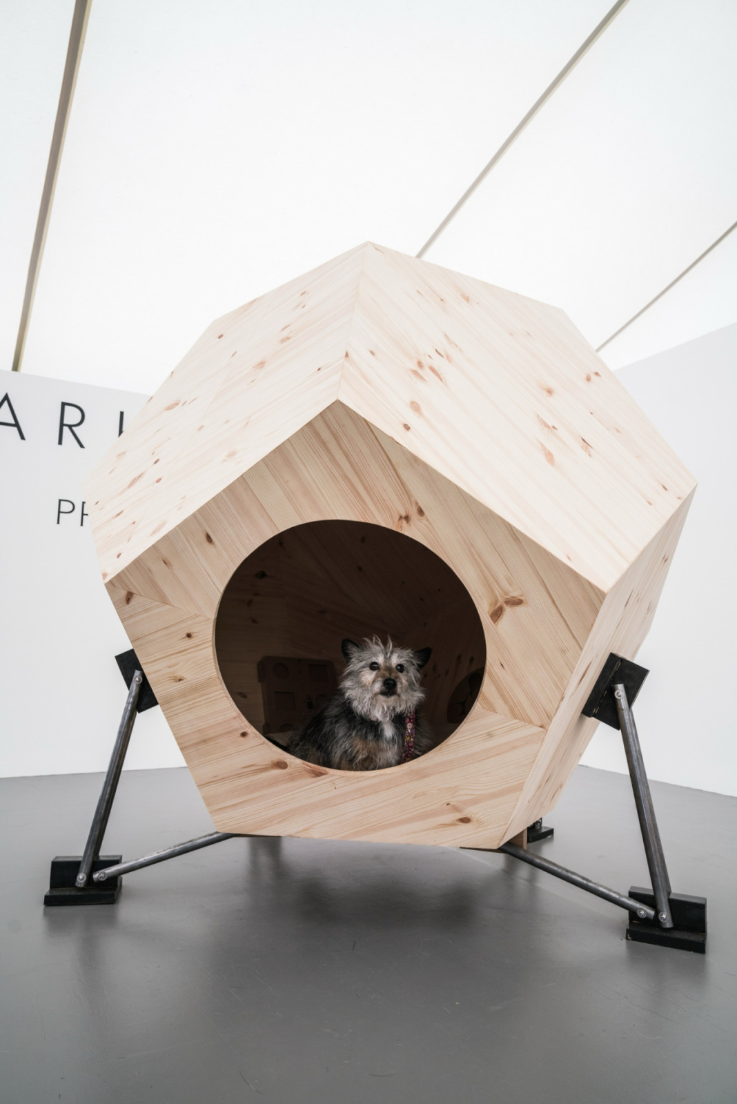 Goodwoof : le festival canin le plus branché du Royaume-Uni | Tatler Asia